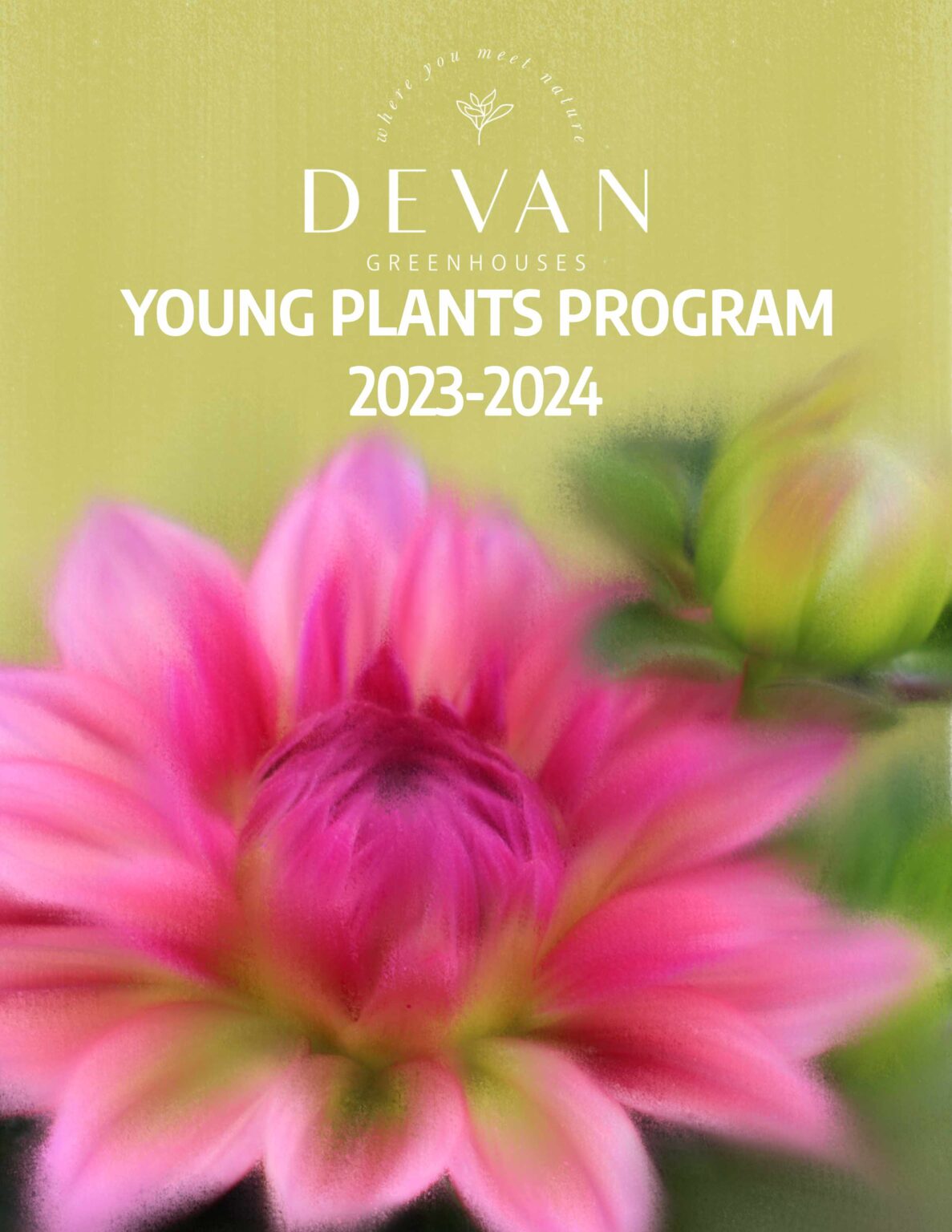 Young Plants – Devan Greenhouses Ltd.