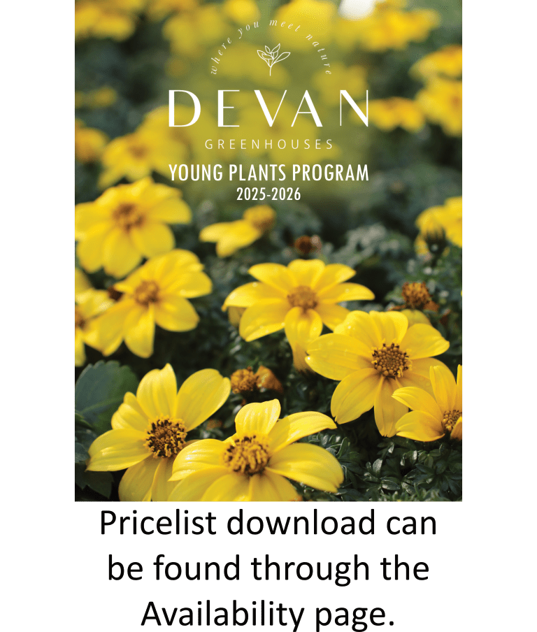 Young Plants – Devan Greenhouses Ltd.