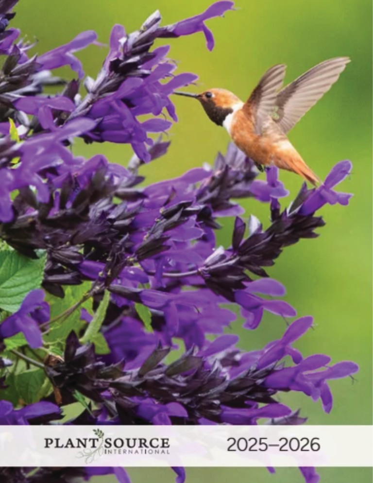 Young Plants – Devan Greenhouses Ltd.